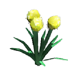 Billy Button | Dinkum Wiki | Fandom