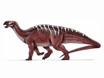 Tenontosaurus | Dino Jurassic squad Wiki | Fandom