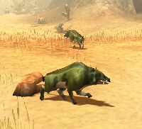 Entelodon | Dino Storm Wiki | Fandom