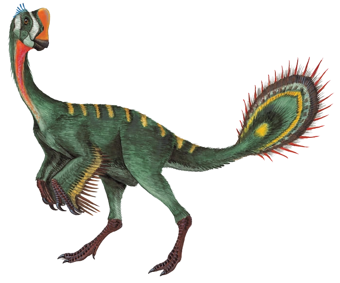 Nomingia | Dinosaur Wiki | Fandom