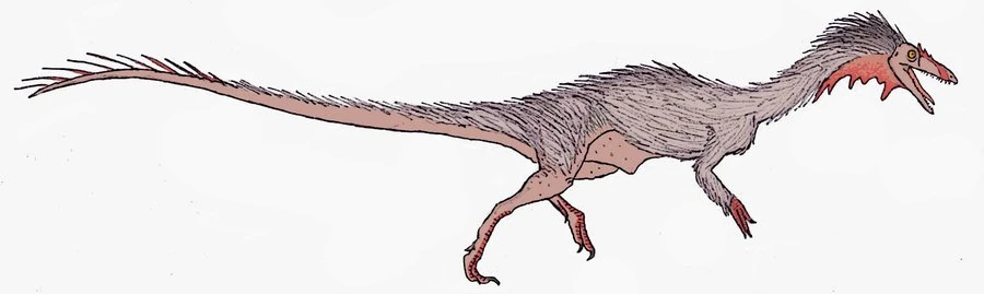 Coelophysis/Gallery | Dinosaur Wiki | Fandom