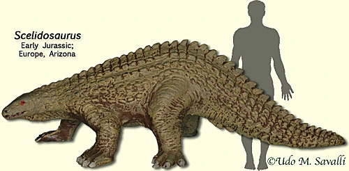 Scelidosaurus/Gallery | Dinosaur Wiki | Fandom