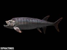 Xiphactinus | Dinosaur Wiki | Fandom