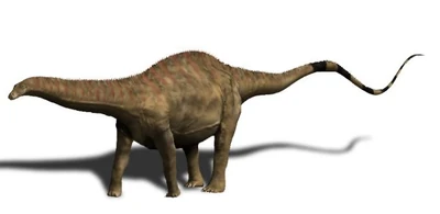 Limmaysaurus | Wiki Dino | Fandom