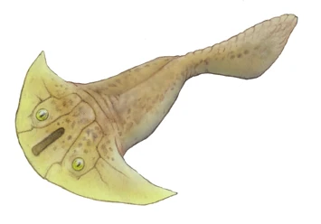Eugaleaspis | Wiki Dino | Fandom