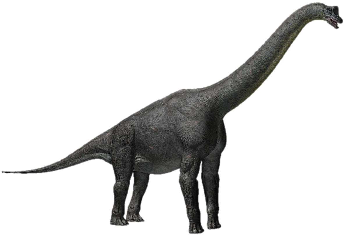 Alamosaurus | Dinosaur Wiki | Fandom