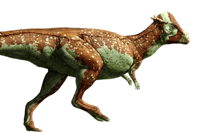 Zigongosaurus Fuxiensis