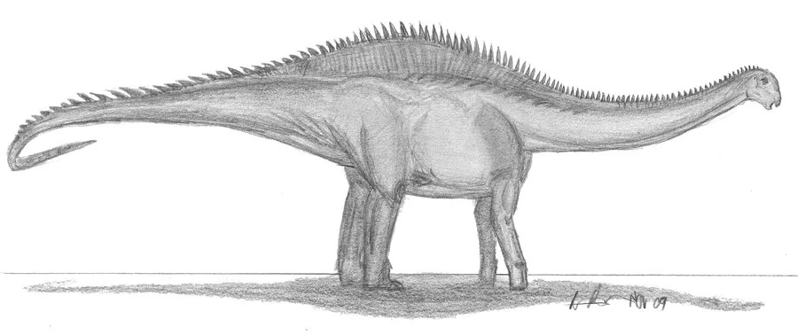 Rayososaurus | Wiki Dino | Fandom