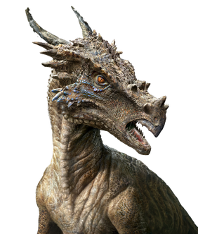 Dracorex | Dinosaur Wiki | Fandom
