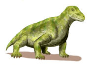 Moschops | Dinosaur Wiki | Fandom