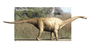 Nemegtosaurus | Dinosaur Wiki | Fandom