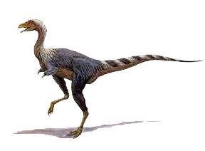 Alvarezsaurus | Dinosaur Wiki | Fandom