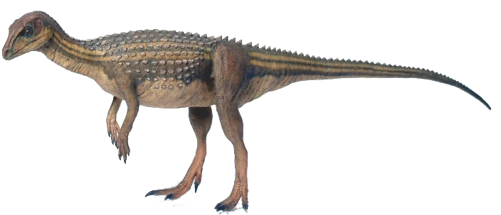 Scutellosaurus | Dinosaur Wiki | Fandom
