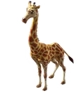 Giraffa jumae | Dinosaur Wiki | Fandom