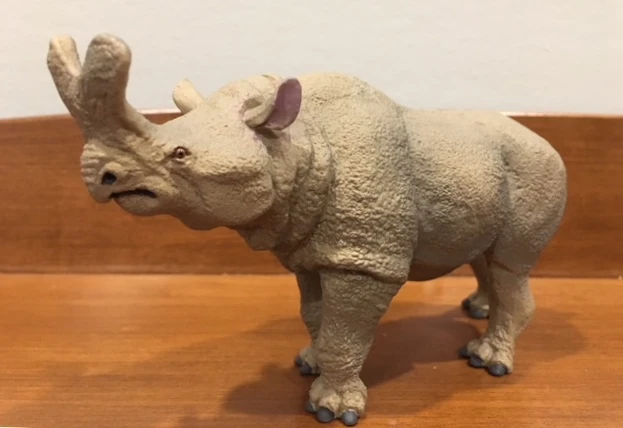 Megacerops/Gallery | Dinosaur Wiki | Fandom