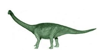 Ferganasaurus | Wiki Dino | Fandom