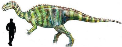 Camptosaurus | Wiki Dino | Fandom