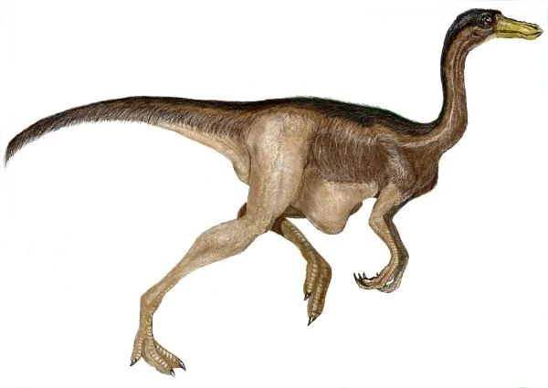 Gallimimus | Wiki Dino | Fandom