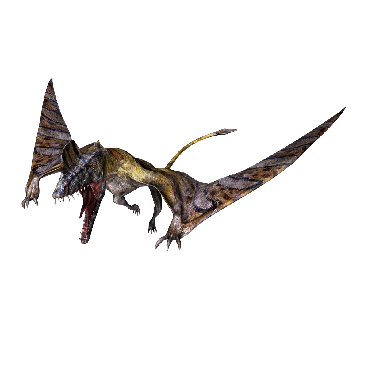 Scaphognathus | Dinosaur Wiki | Fandom