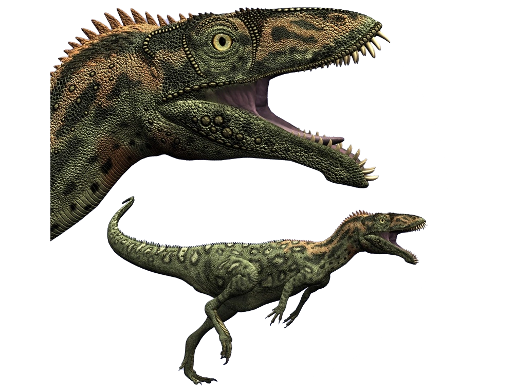 Masiakasaurus | Dinosaur Wiki | Fandom