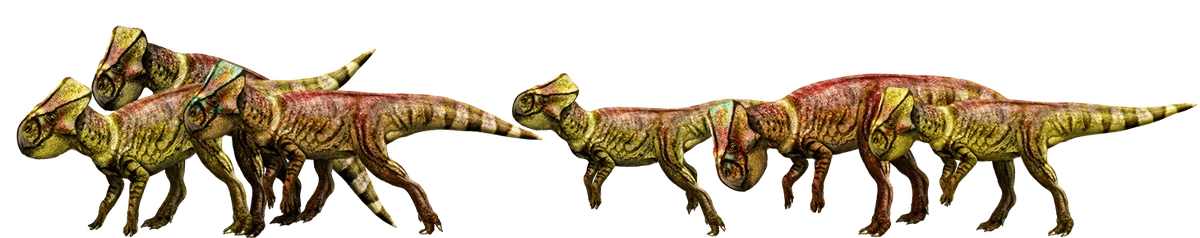 Microceratus | Dinosaur Wiki | Fandom