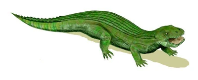 Simosuchus | Wiki Dino | Fandom