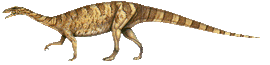 Anchisaurus | Dinosaur Wiki | Fandom