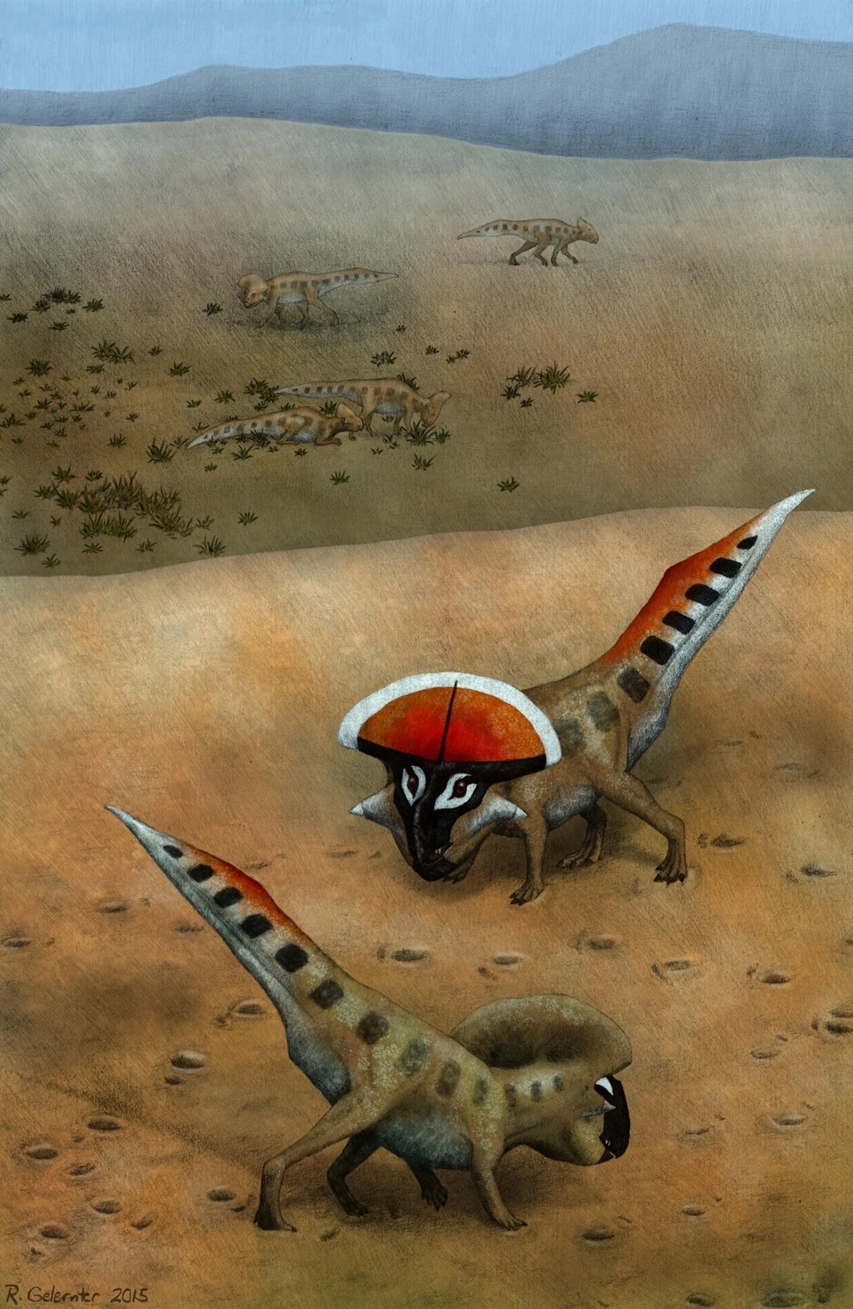 Protoceratops/Gallery | Dinosaur Wiki | Fandom