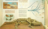 Eryops/Gallery | Dinosaur Wiki | Fandom