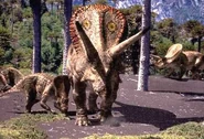 Torosaurus | Dinosaur Wiki | Fandom