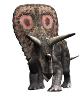 Torosaurus/Gallery | Dinosaur Wiki | Fandom