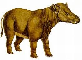 Coryphodon | Wiki Dino | Fandom