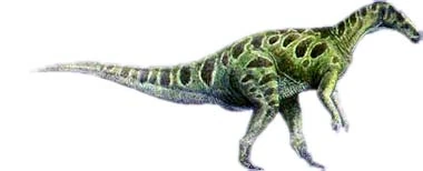 Callovosaurus | Dinosaur Wiki | Fandom