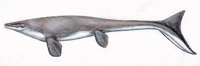 Mosasaur | Dinosaur Wiki | Fandom