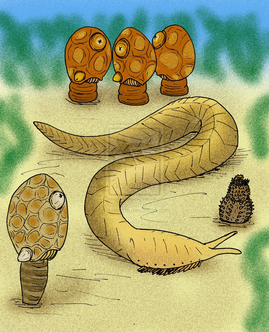 Cathaymyrus | Wiki Dino | Fandom