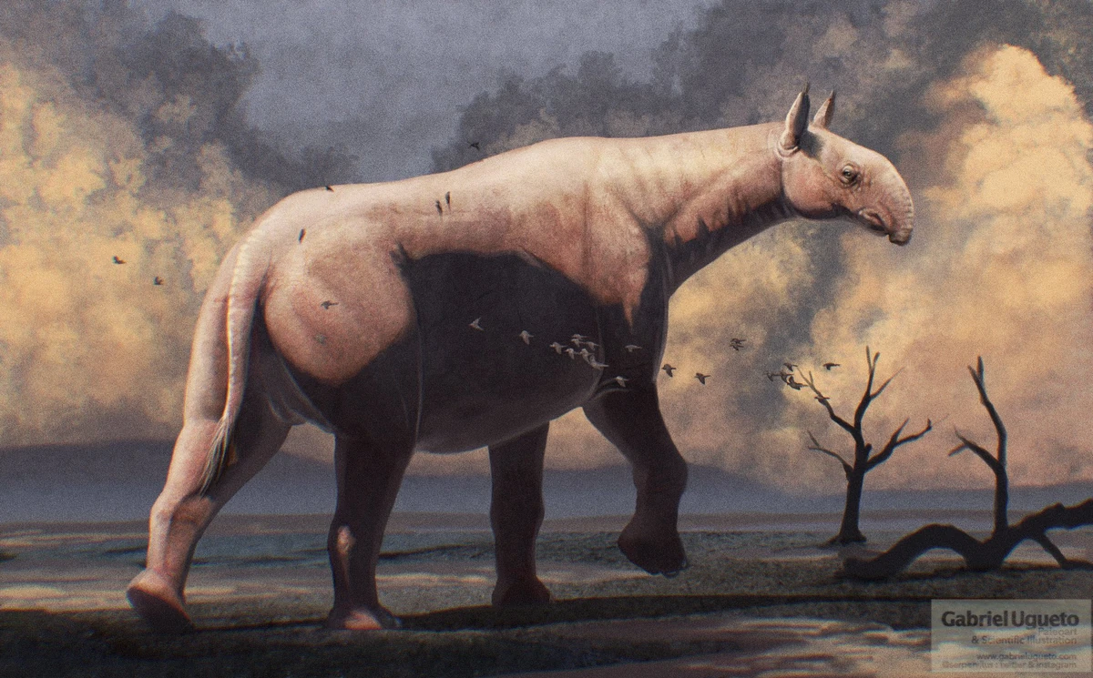 Paraceratherium/Gallery | Dinosaur Wiki | Fandom