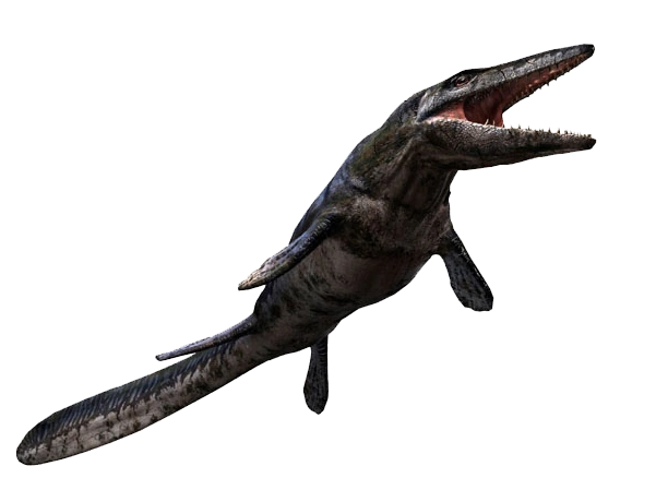 Tylosaurus | Dinosaur Wiki | Fandom
