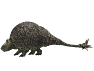 Doedicurus | Dinosaur Wiki | Fandom