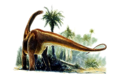 Datousaurus | Dinosaur Wiki | Fandom
