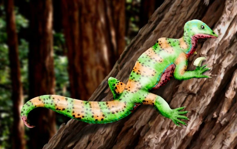 Drepanosaurus | Wiki Dino | Fandom