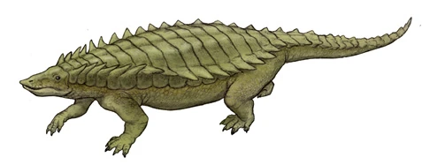 Longosuchus | Wiki Dino | Fandom