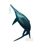 Shonisaurus | Dinosaur Wiki | Fandom