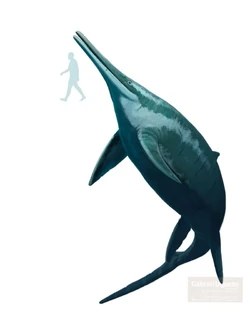 shonisaurus popularis