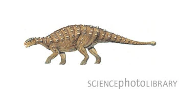 Tianchisaurus | Wiki Dino | Fandom