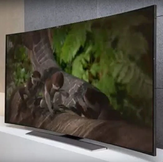 Suri's Siblings | Dinosaur Wiki | Fandom