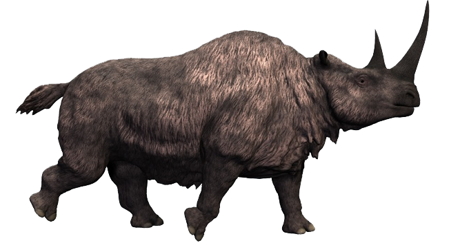 Woolly Rhinoceros Habitat, Extinction, Facts Britannica Woolly Rhinoceros Habitat, Extinction, Facts Britannica
