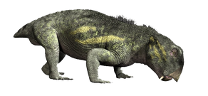 Lystrosaurus | Dinosaur Wiki | Fandom