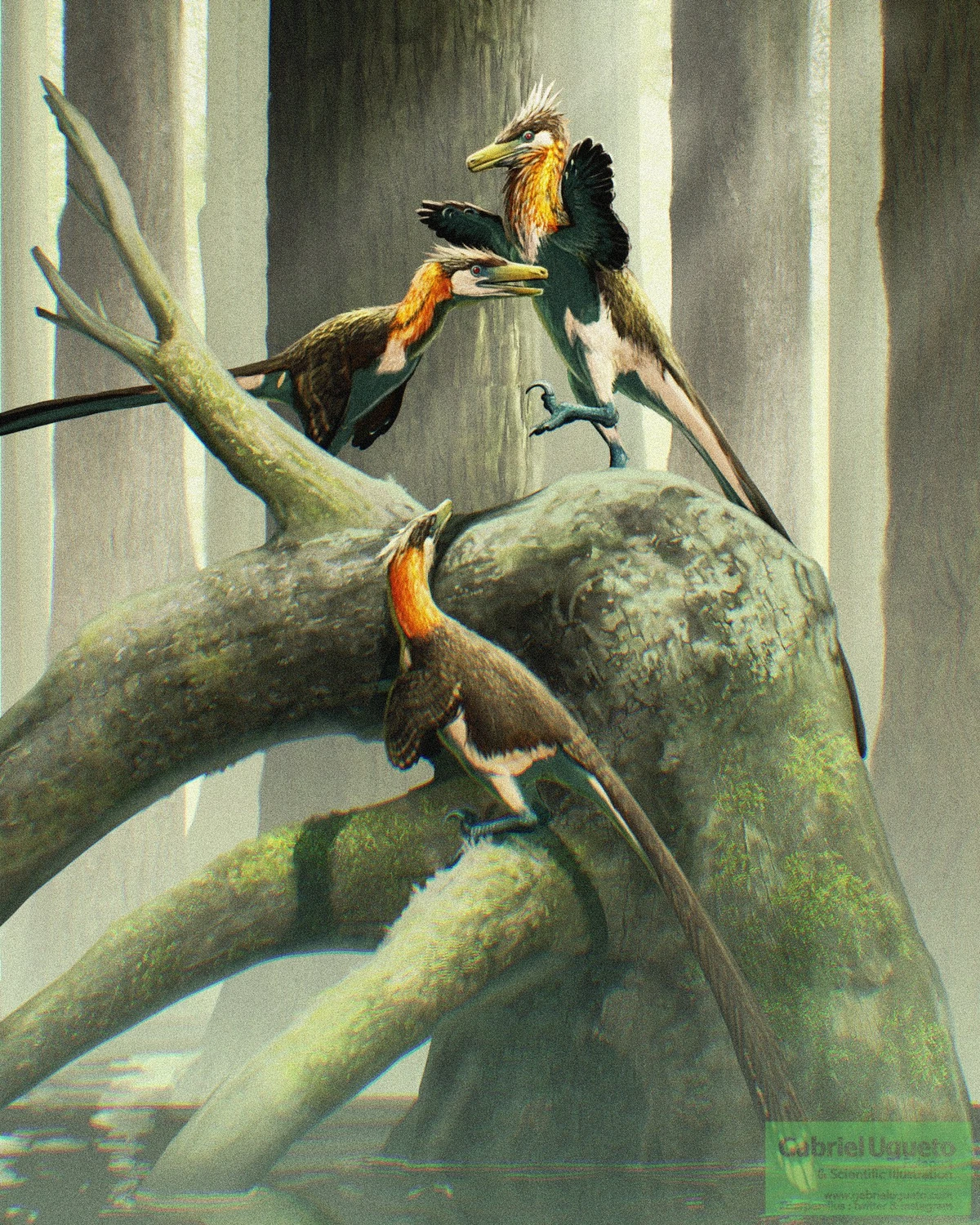 dinosaur planet pyroraptor