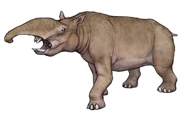 Pyrotherium | Wiki Dino | Fandom