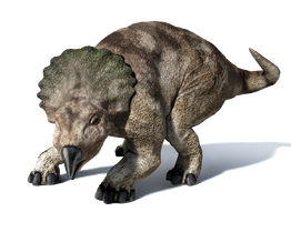 Protoceratops | Dinosaur Wiki | Fandom